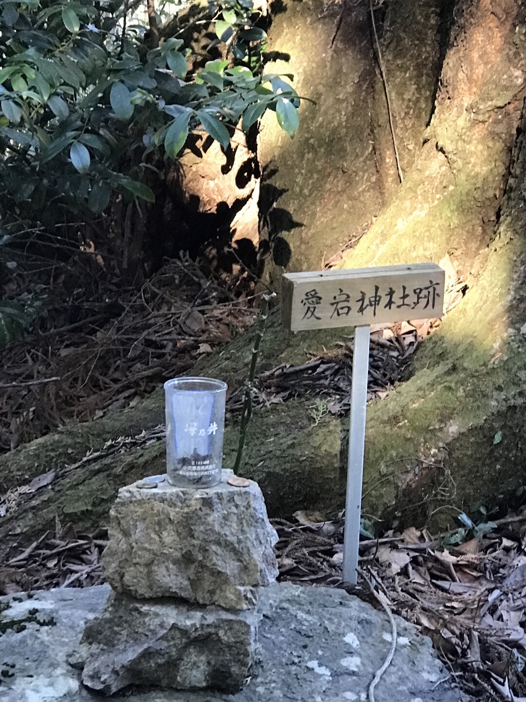 愛宕山・要害山・天狗岩・赤ぼっこ / yamajazzさんの赤ぼっこの活動データ | YAMAP / ヤマップ