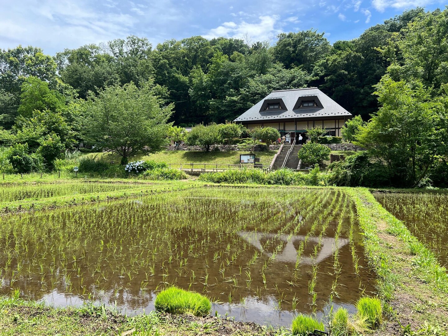 谷戸山公園散策-2024-06-22 / Nic_kgさんのウォーキングの活動データ | YAMAP / ヤマップ