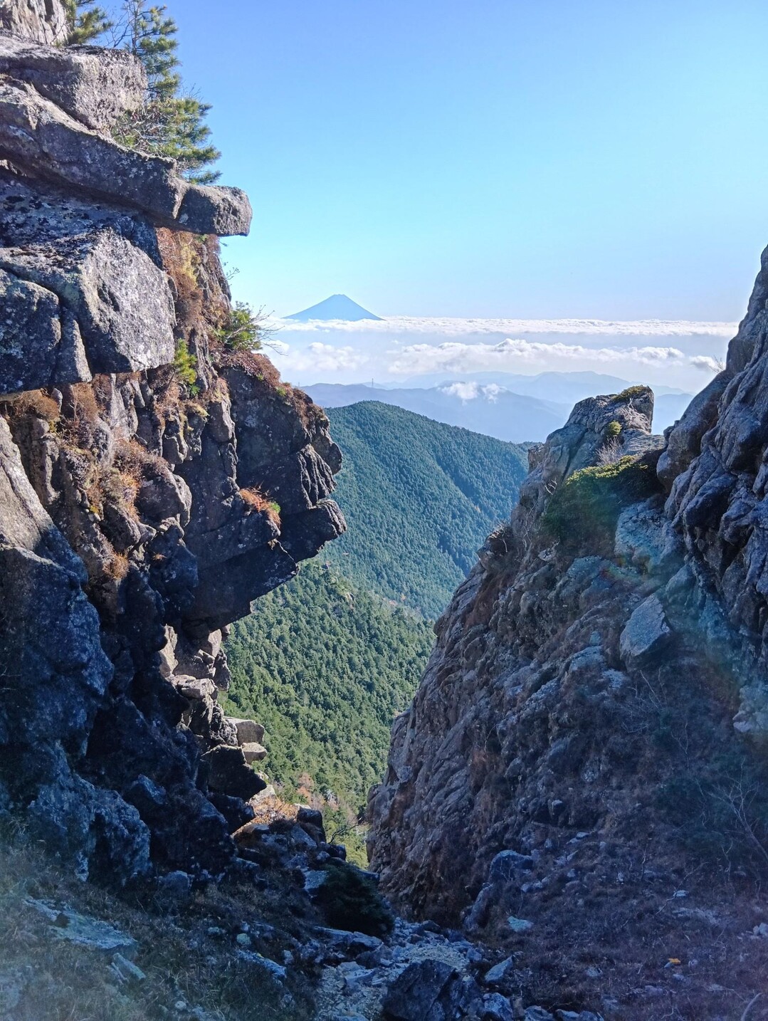 川端下BS〜金峰山〜富士見平〜黒森上BS / 441Mさんの瑞牆山・金峰山の活動データ | YAMAP / ヤマップ