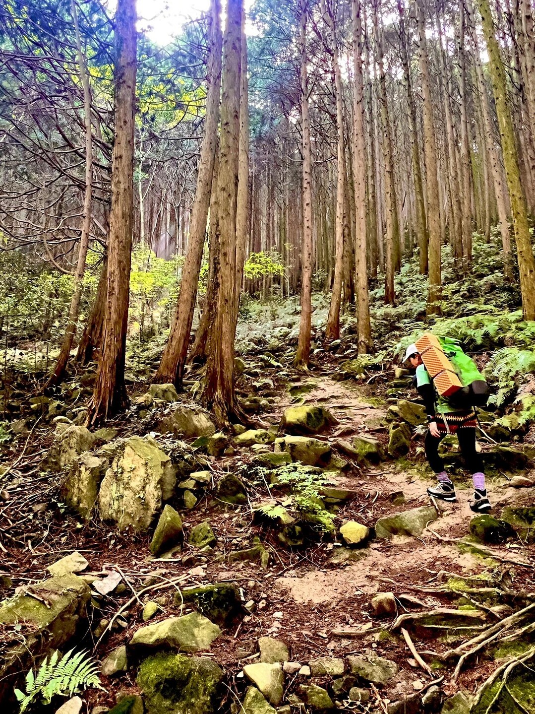 野呂山トレーニング / PEZさんの野呂山・膳棚山の活動データ | YAMAP / ヤマップ