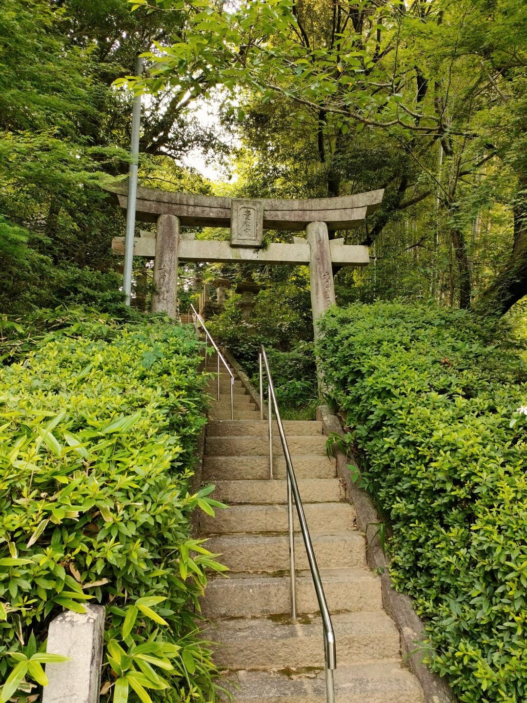 ぐるっと原田山🏃🌀🌕 / sol..さんの四王寺山・大城山・大原山の活動データ | YAMAP / ヤマップ