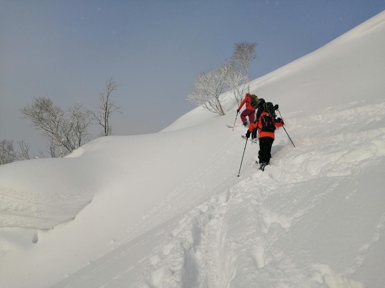 リベンジのチセヌプリBCスキー / shinさんのニセコアンヌプリ・イワオヌプリ・チセヌプリの活動データ | YAMAP / ヤマップ