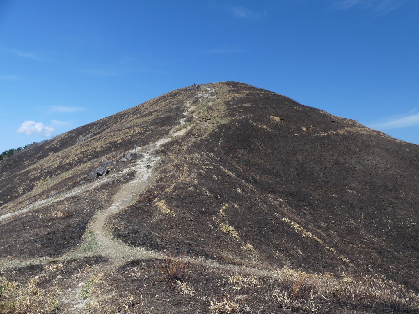 深入山（ひろしま北里山キングパート3） / KAZU3さんの深入山の活動日記 | YAMAP / ヤマップ