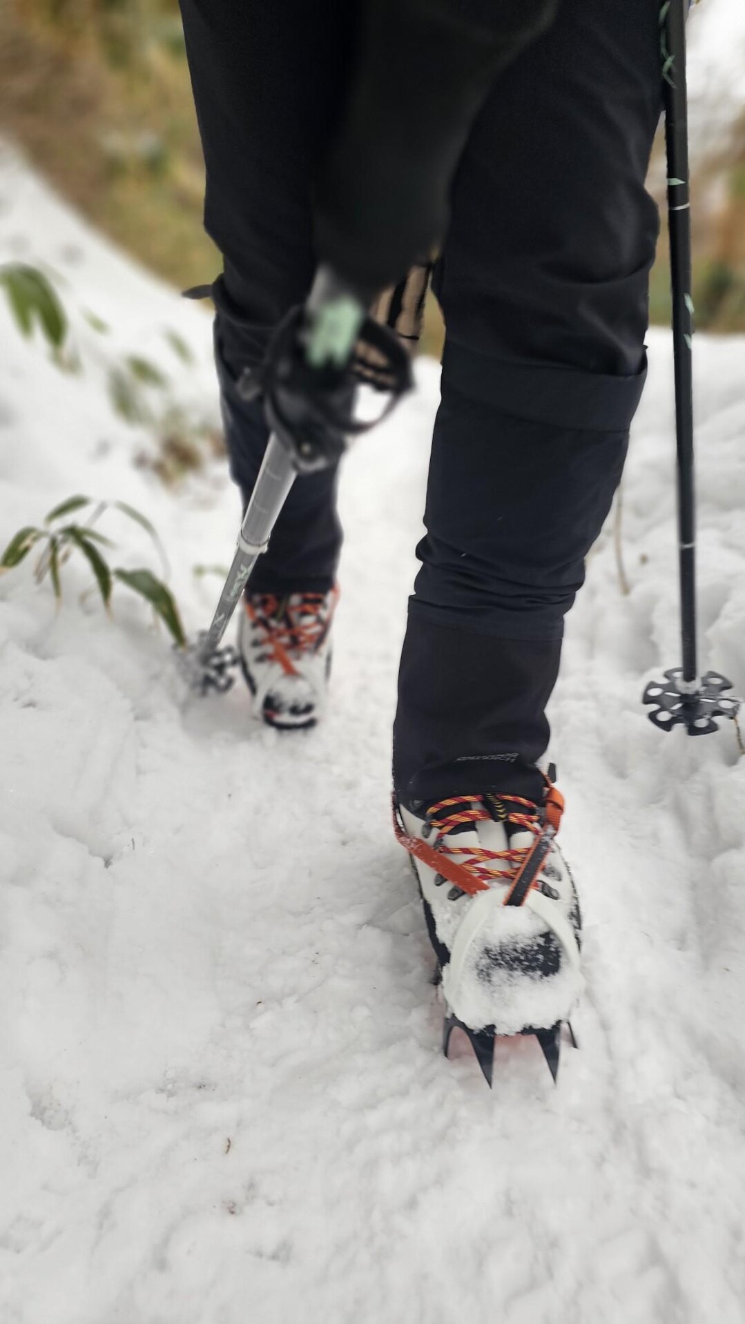 南沢山 / u_s.y_r.mountain さんの恵那山・大判山・神坂山の活動日記 | YAMAP / ヤマップ