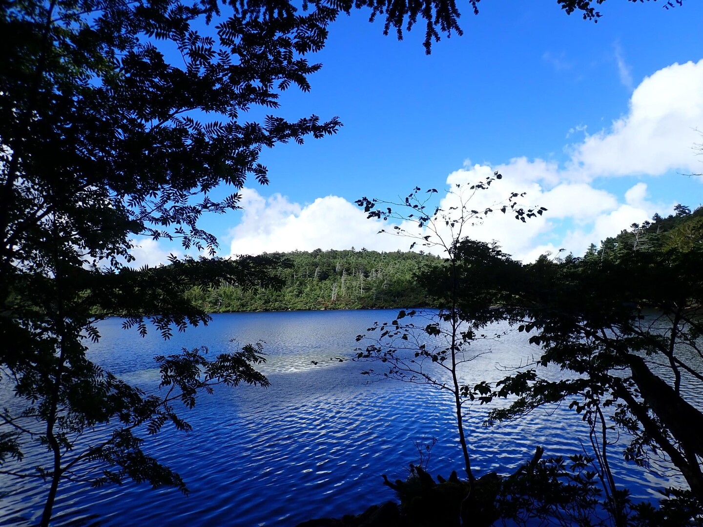 ニュウ / tonさんの八ヶ岳（赤岳・硫黄岳・天狗岳）の活動データ | YAMAP / ヤマップ