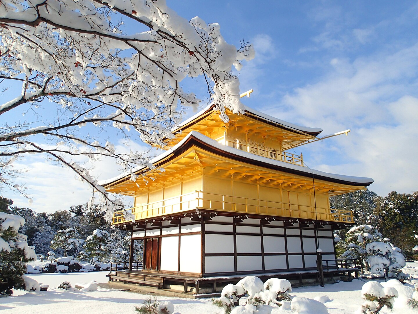 数年に一度の金閣寺 / bptanakaさんのモーメント | YAMAP / ヤマップ