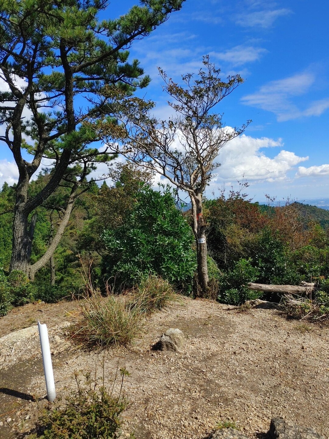 R4 10 15 三子山 四方草山 往復 / むらの山ちゃんさんの高畑山・那須ヶ原山・油日岳の活動データ | YAMAP / ヤマップ