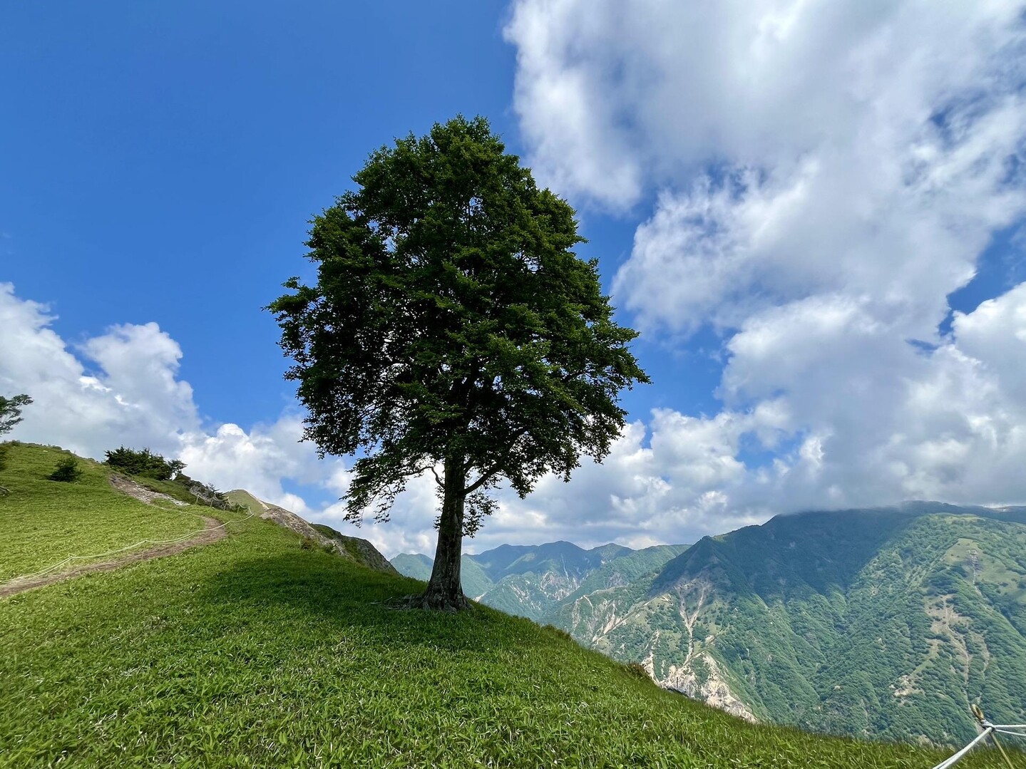 中倉山・沢入山 / Kayoさんの皇海山・袈裟丸山・庚申山の活動データ | YAMAP / ヤマップ