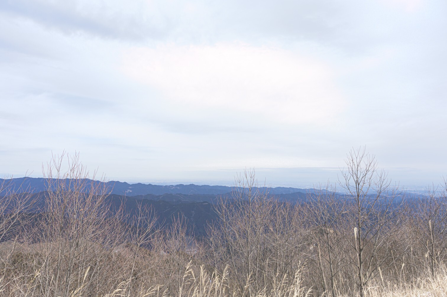 棒ノ嶺(棒ノ折山) / vlog_tottiyさんの棒ノ折山（棒ノ嶺）の活動データ | YAMAP / ヤマップ