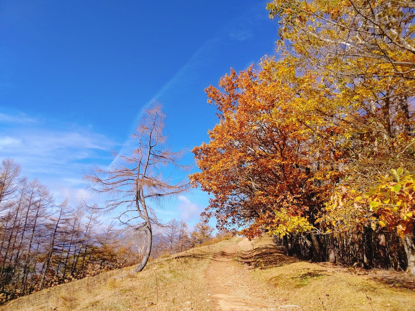 【Yahoo!ニュースより】 https... / ぽいっさんのモーメント | YAMAP / ヤマップ