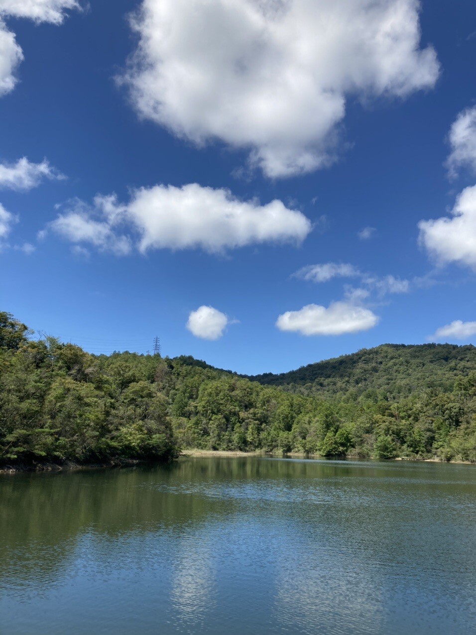 日曜の鏡山 山は久しぶり。 / tanさんのモーメント | YAMAP / ヤマップ