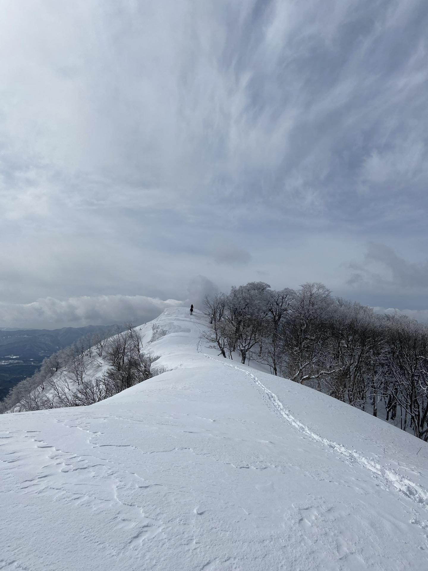 擬宝珠山・象山(笹ヶ峰) / チョンボさんの烏ヶ山・象山（笹ヶ峰）の活動データ | YAMAP / ヤマップ