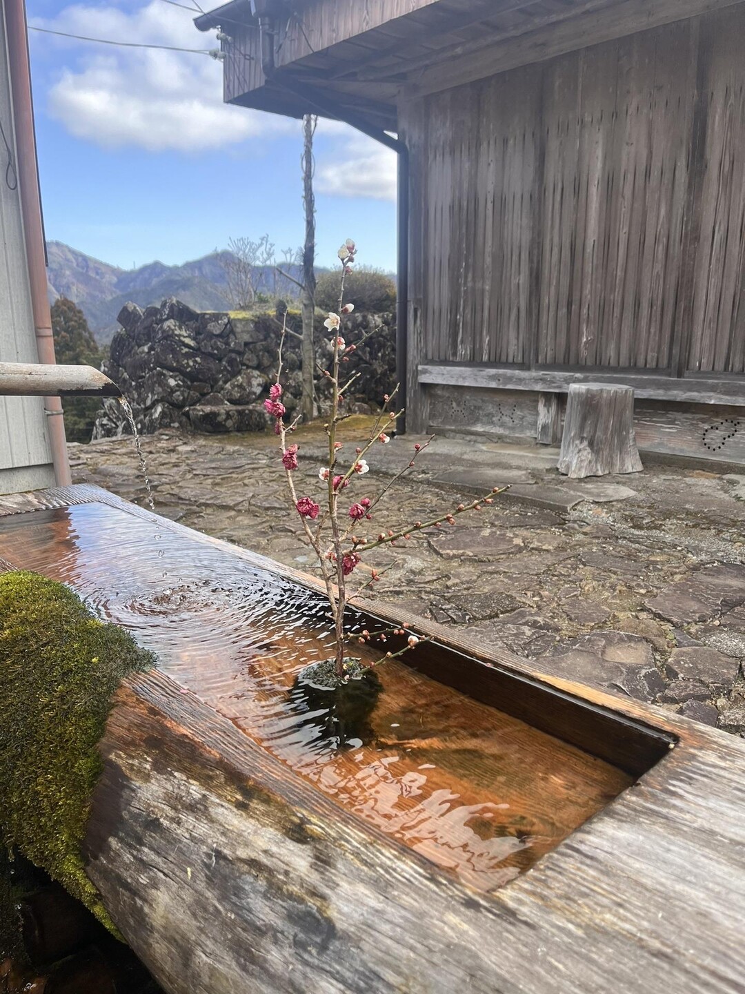 果無山→十津川村散策 / ta_ba8016さんの冷水山・百前森山・果無山の活動データ | YAMAP / ヤマップ