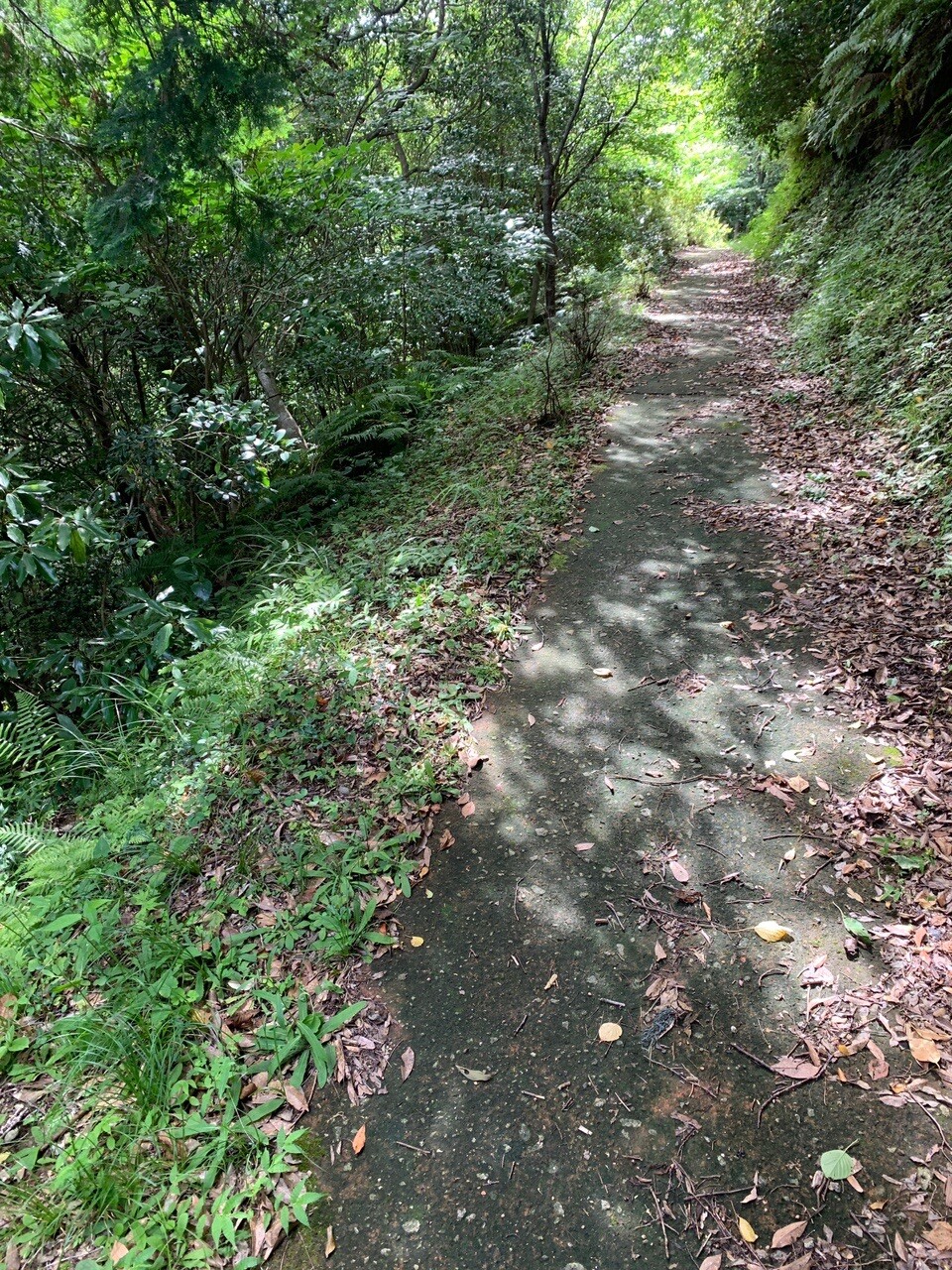 AKさんの投稿したフィールドメモ | YAMAP / ヤマップ