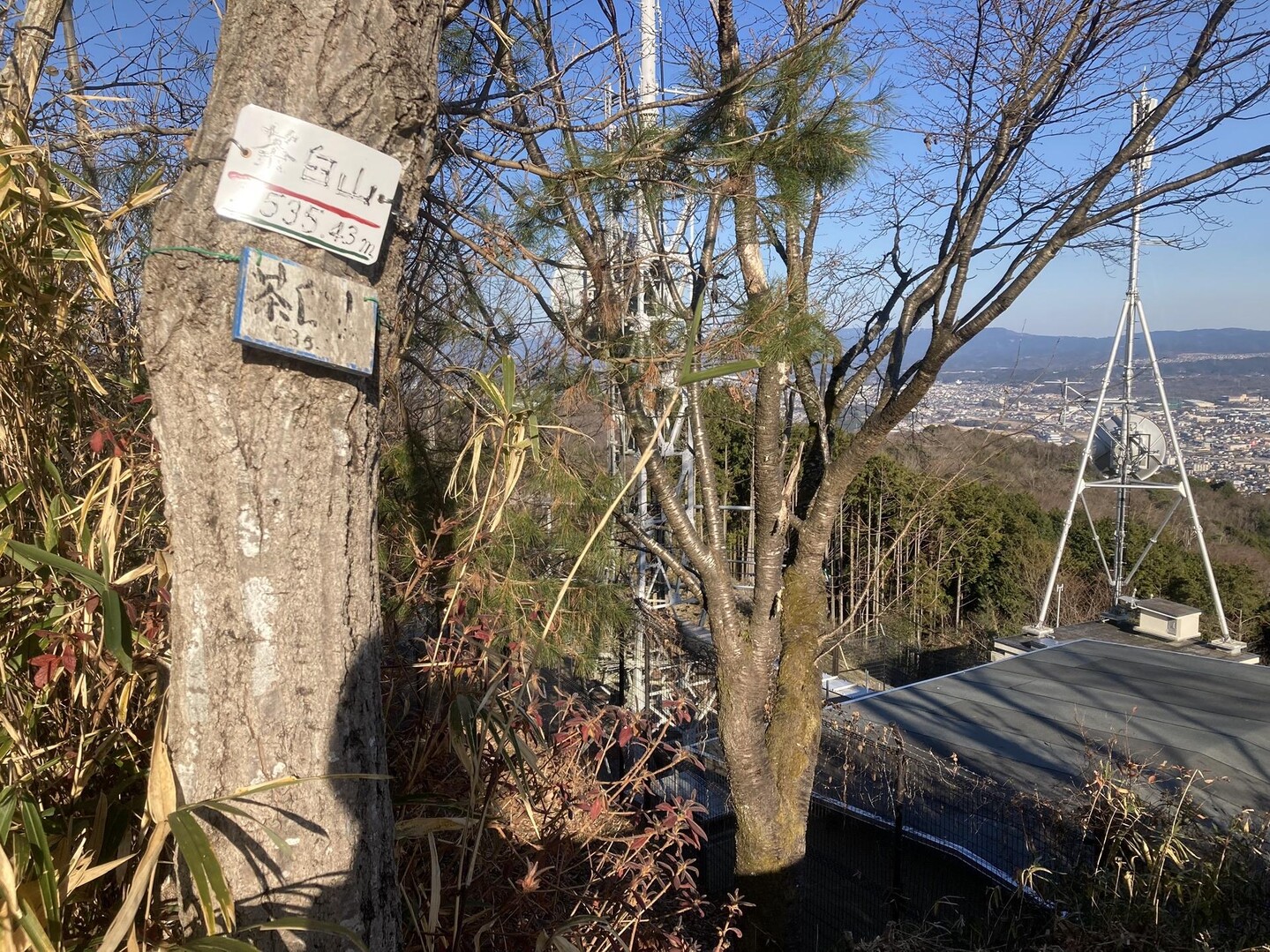 茶臼山 / jingerさんの茶臼山の活動データ | YAMAP / ヤマップ