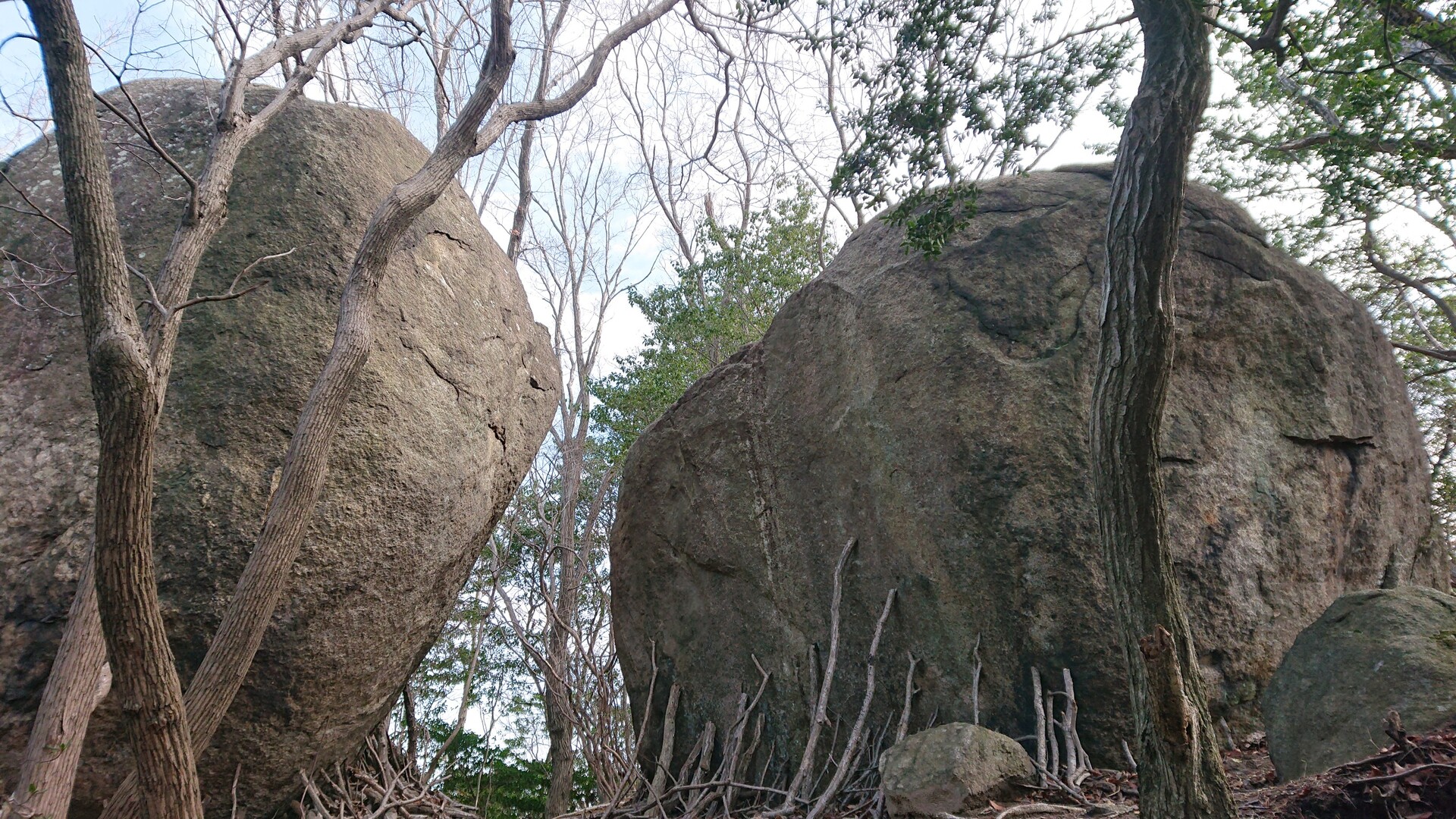2021-3-7なるかわハイキングコース～みずのみ園地往復 / クローネさんの生駒山・神津嶽・大原山の活動データ | YAMAP / ヤマップ