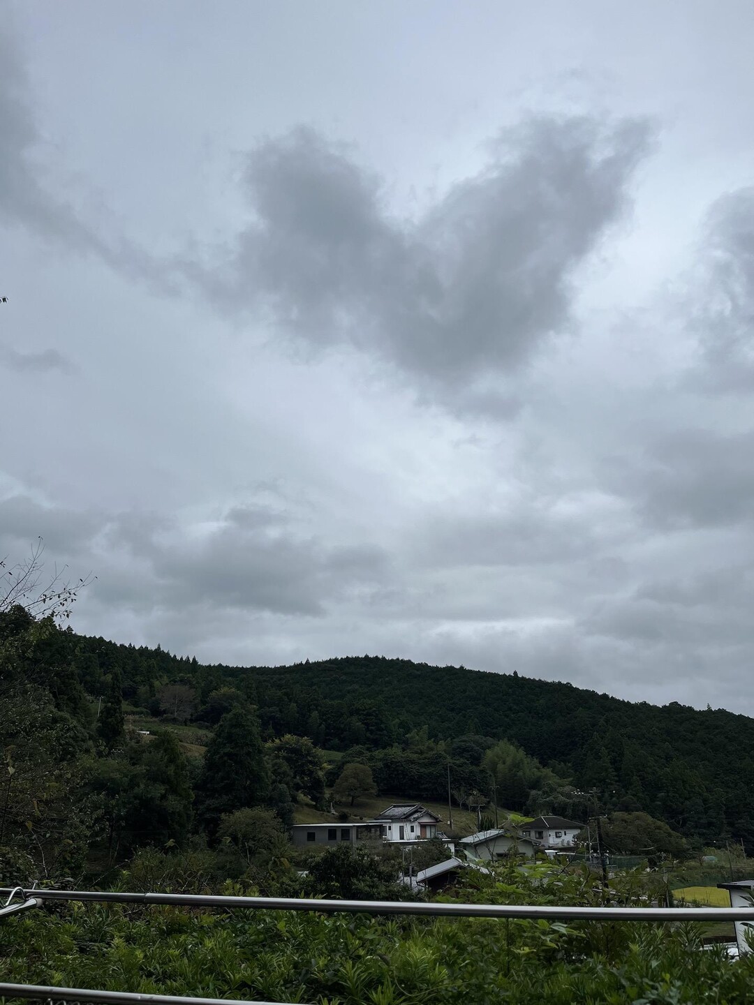 あいにくの曇り空 だけど、実家でバーベ... / ニゲラさんのモーメント | YAMAP / ヤマップ