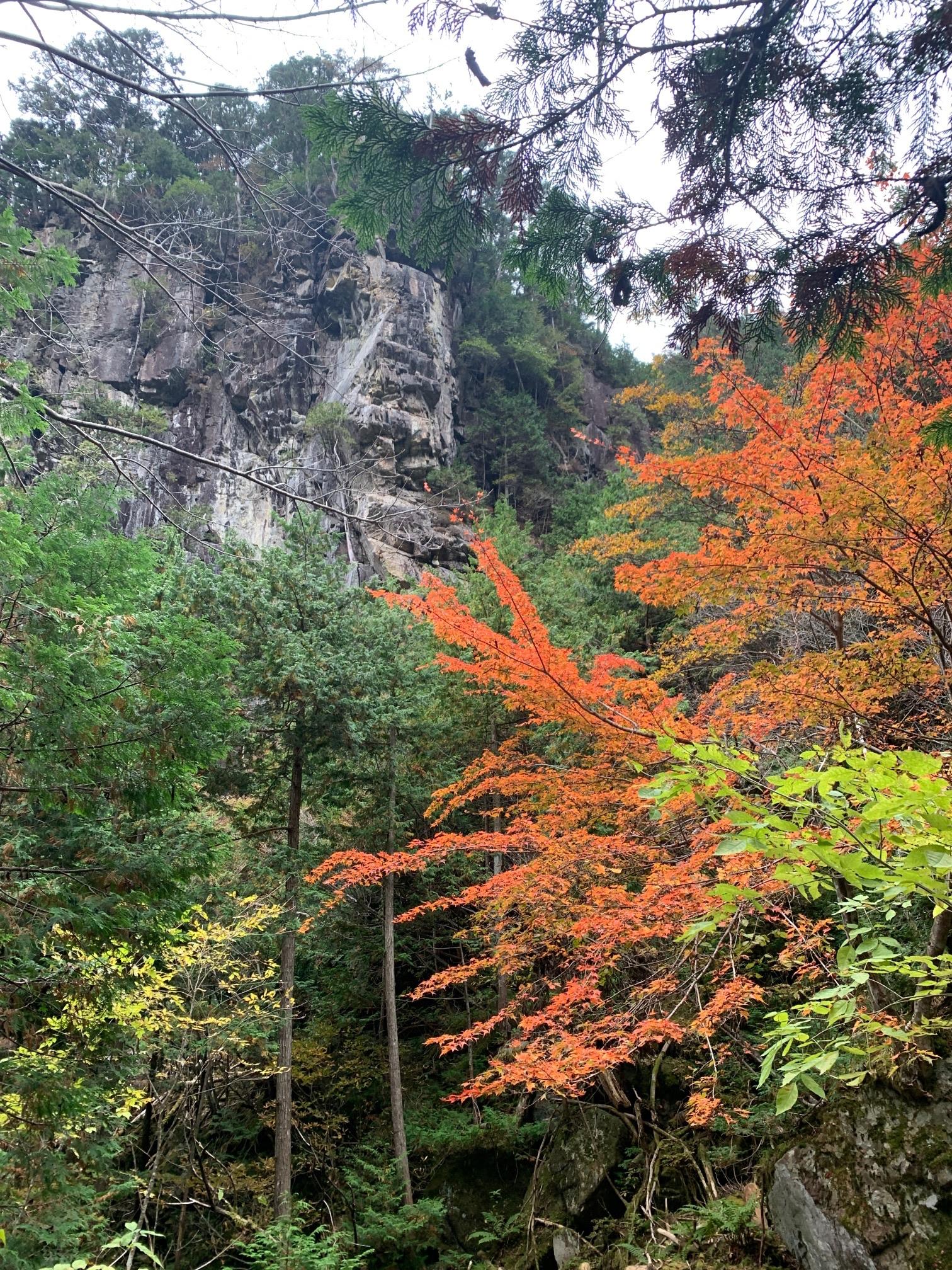 御前山 / oioiさんの御前山の活動データ | YAMAP / ヤマップ