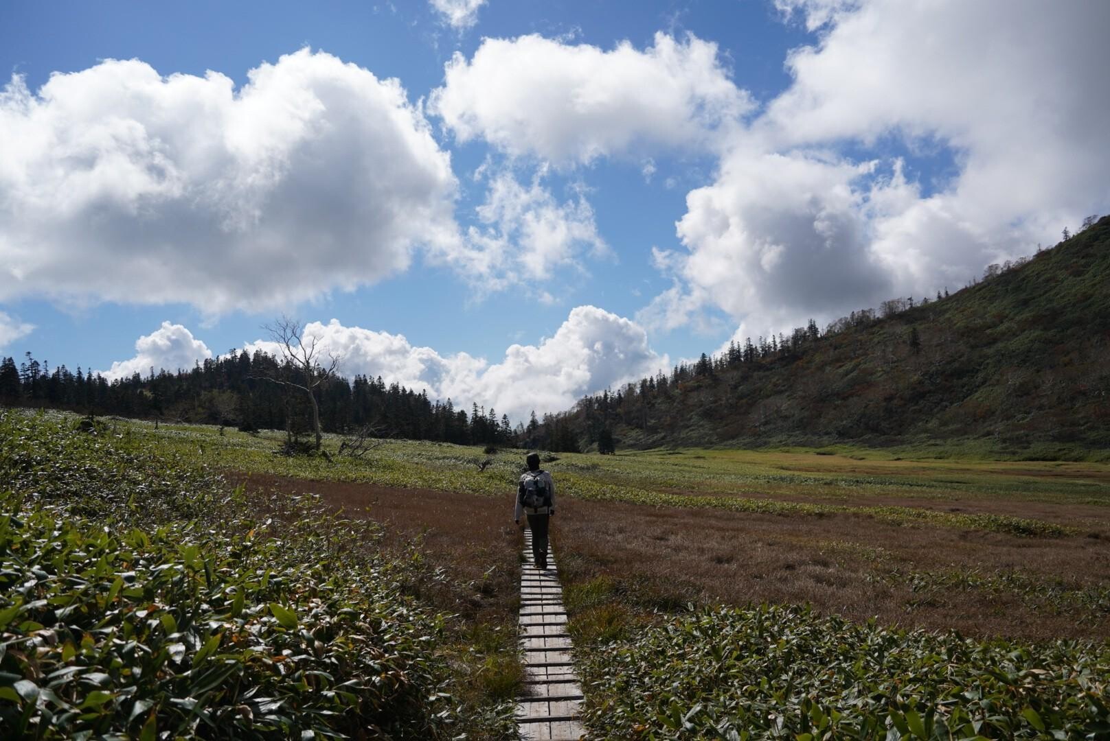 火打山 妙高山 1泊2日縦走 / kuu-nyanさんの妙高山・火打山の活動データ | YAMAP / ヤマップ