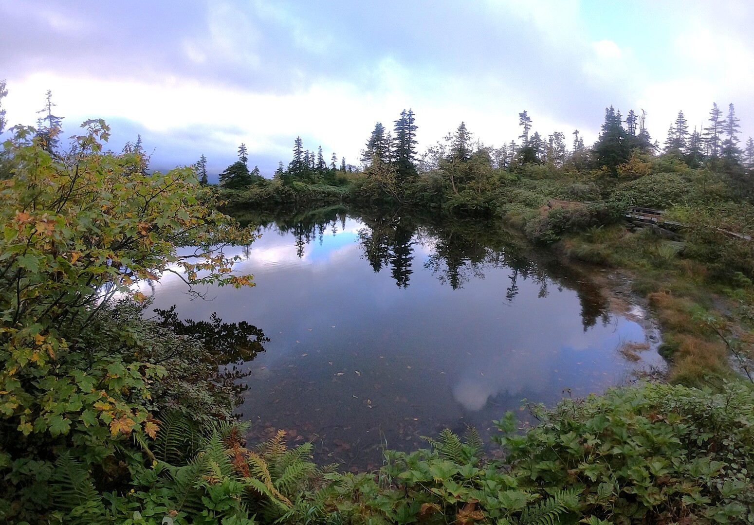 三俣山荘 ありがとう!! 鷲羽岳・水晶岳 完踏!! 帰路も「雨と霧」14～24℃ / NOBUさんの水晶岳・薬師岳・黒部五郎岳・鷲羽岳・三俣蓮華岳・湯俣の活動データ | YAMAP / ヤマップ