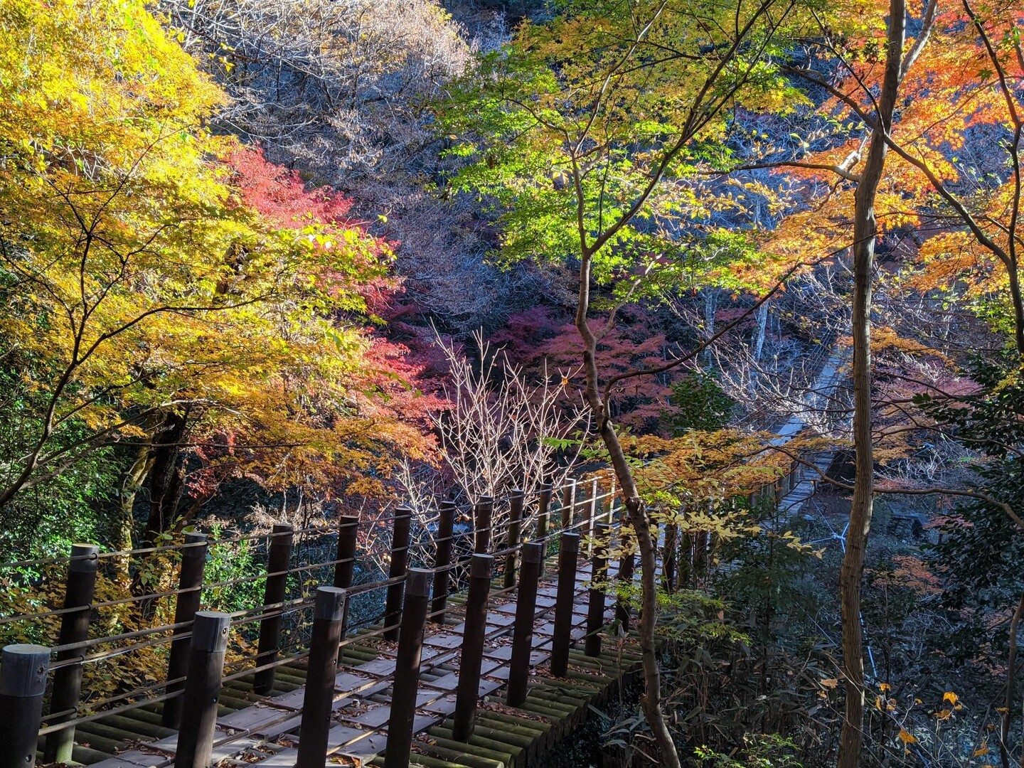 11月下旬 常陸国ロングトレイル｜YAM... / YOLOさんのモーメント | YAMAP / ヤマップ