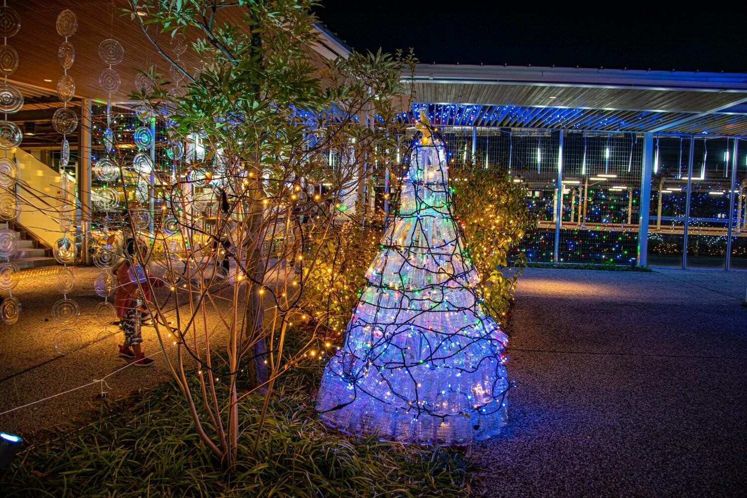 新山口駅X'masイルミネーション / たーぼーさんのモーメント | YAMAP / ヤマップ