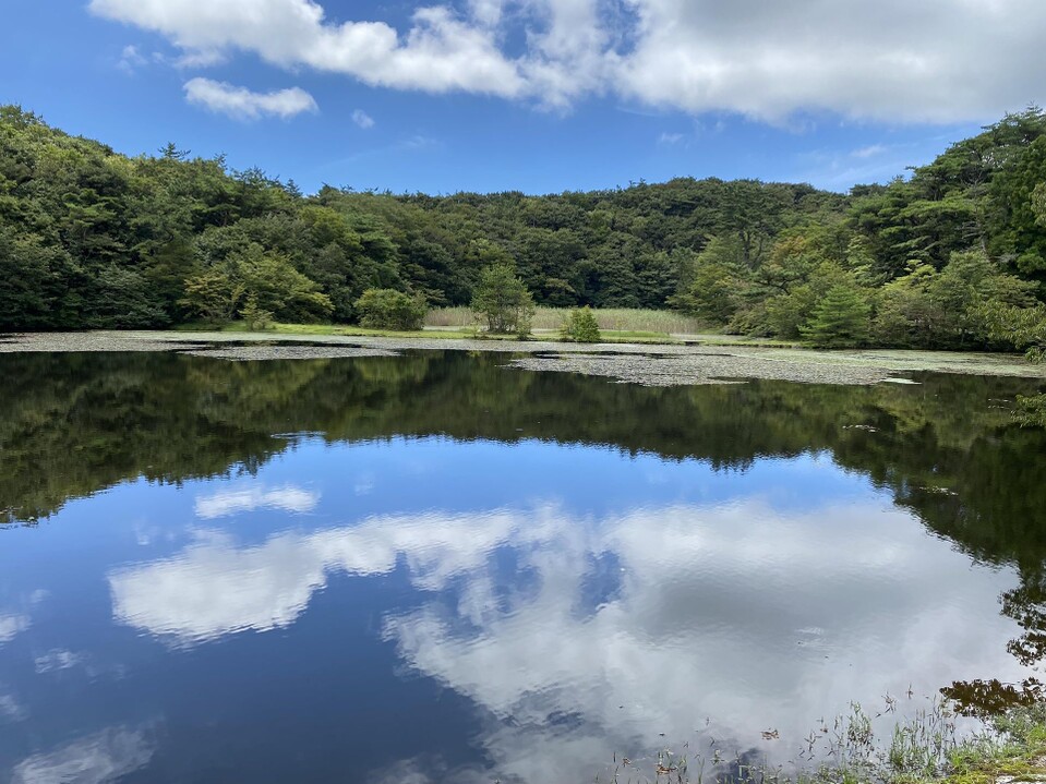 作礼山登山口-897ピーク-作礼山 周回コースの地図・登山ルート・登山口情報 | YAMAP / ヤマップ