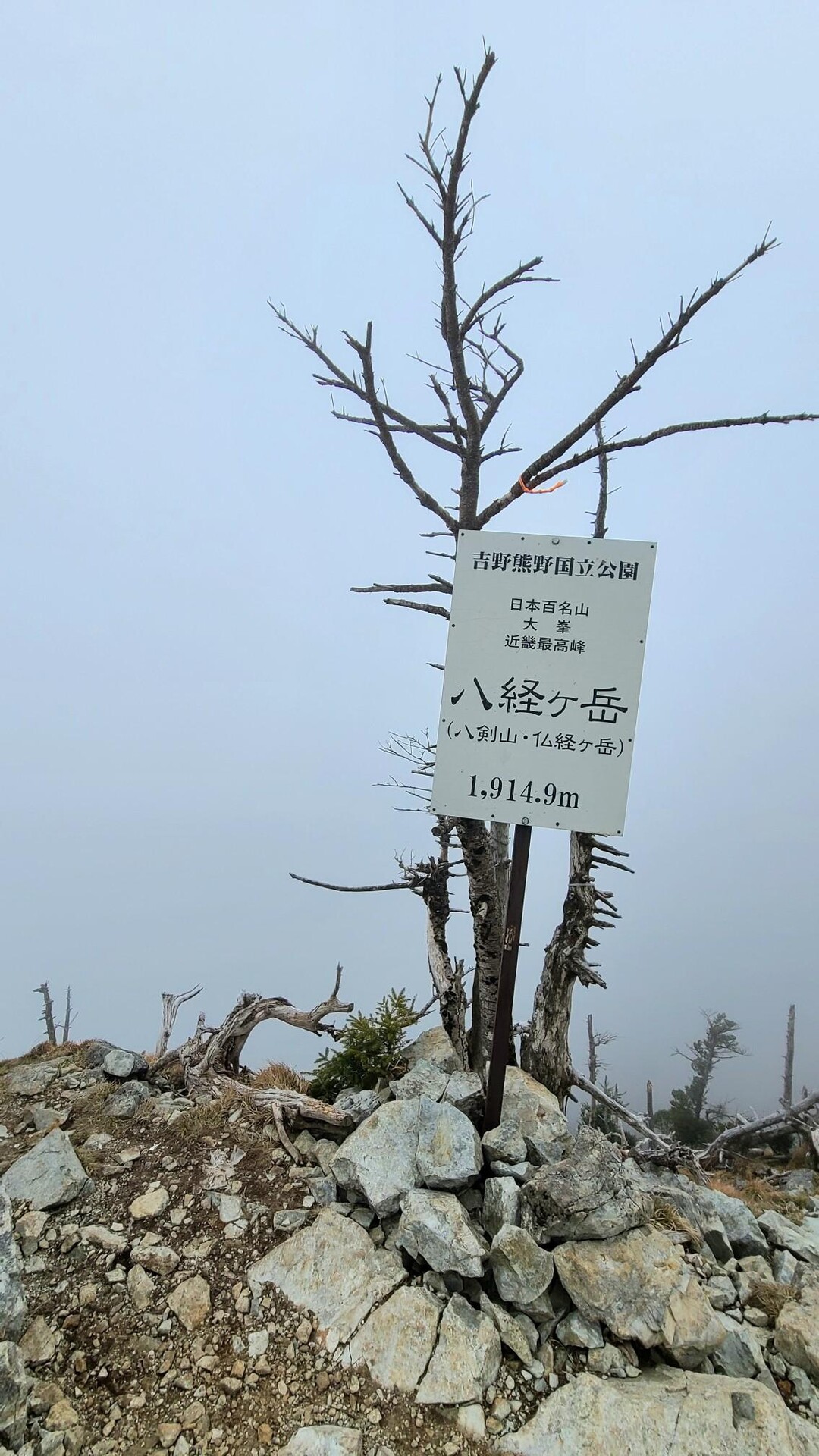 弁天ノ森・弥山・八経ヶ岳（八剣山・仏経ヶ岳） / tmmさんの八経ヶ岳の活動データ | YAMAP / ヤマップ