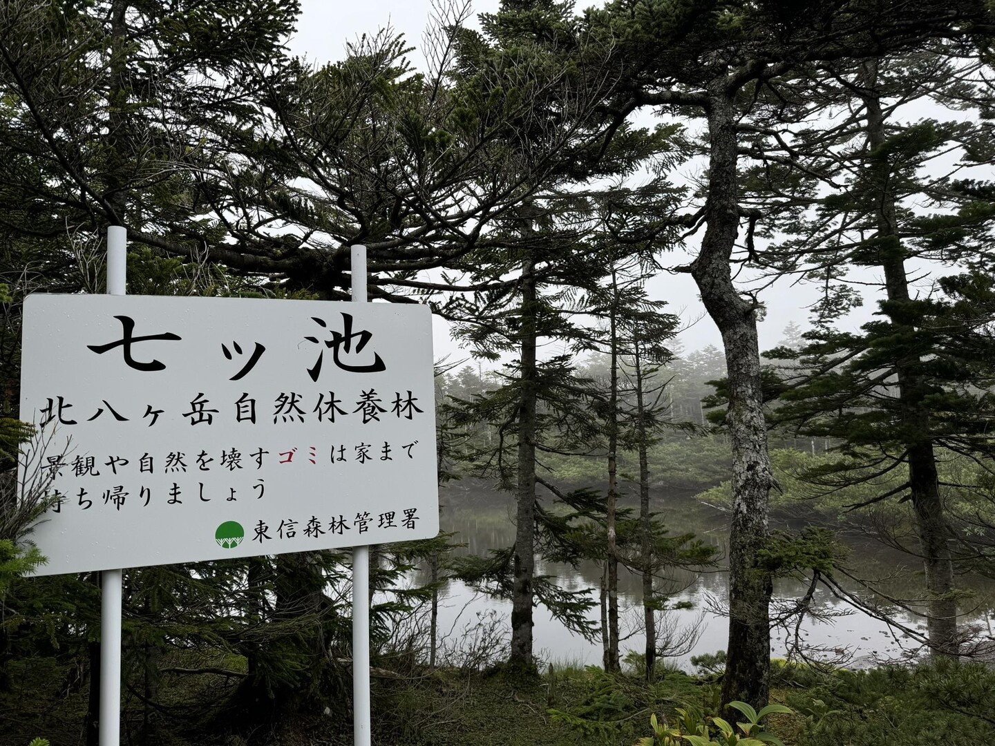 yumiさんの投稿したフィールドメモ | YAMAP / ヤマップ