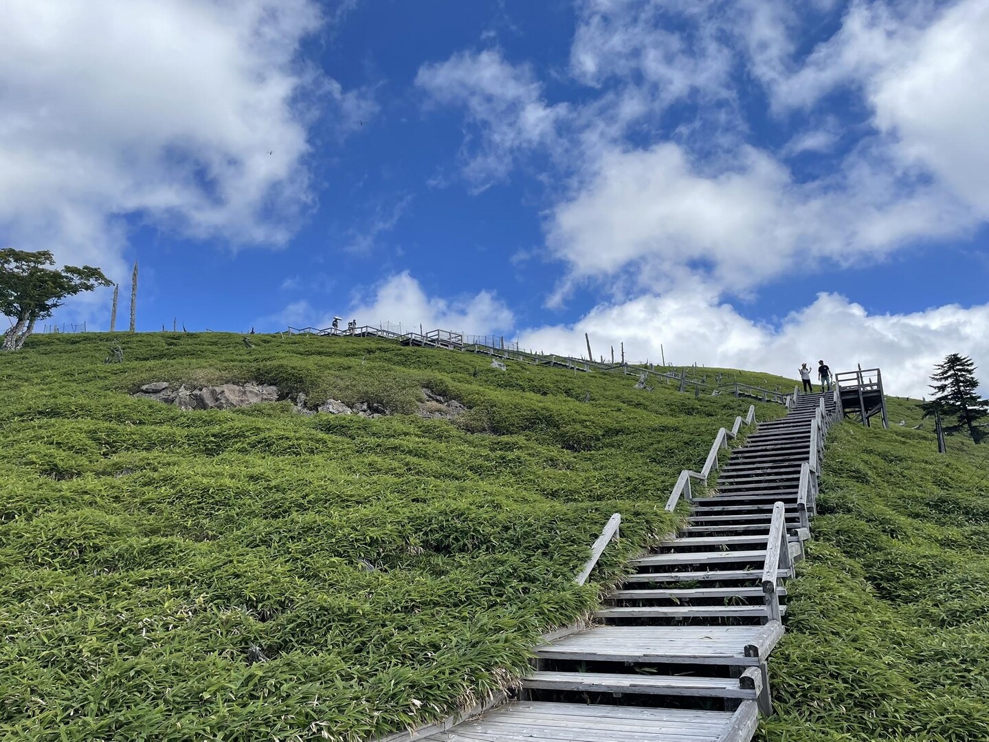 大台ヶ原山（日出ヶ岳） / yossyさんの大台ヶ原山・日出ヶ岳・大杉谷の活動データ | YAMAP / ヤマップ