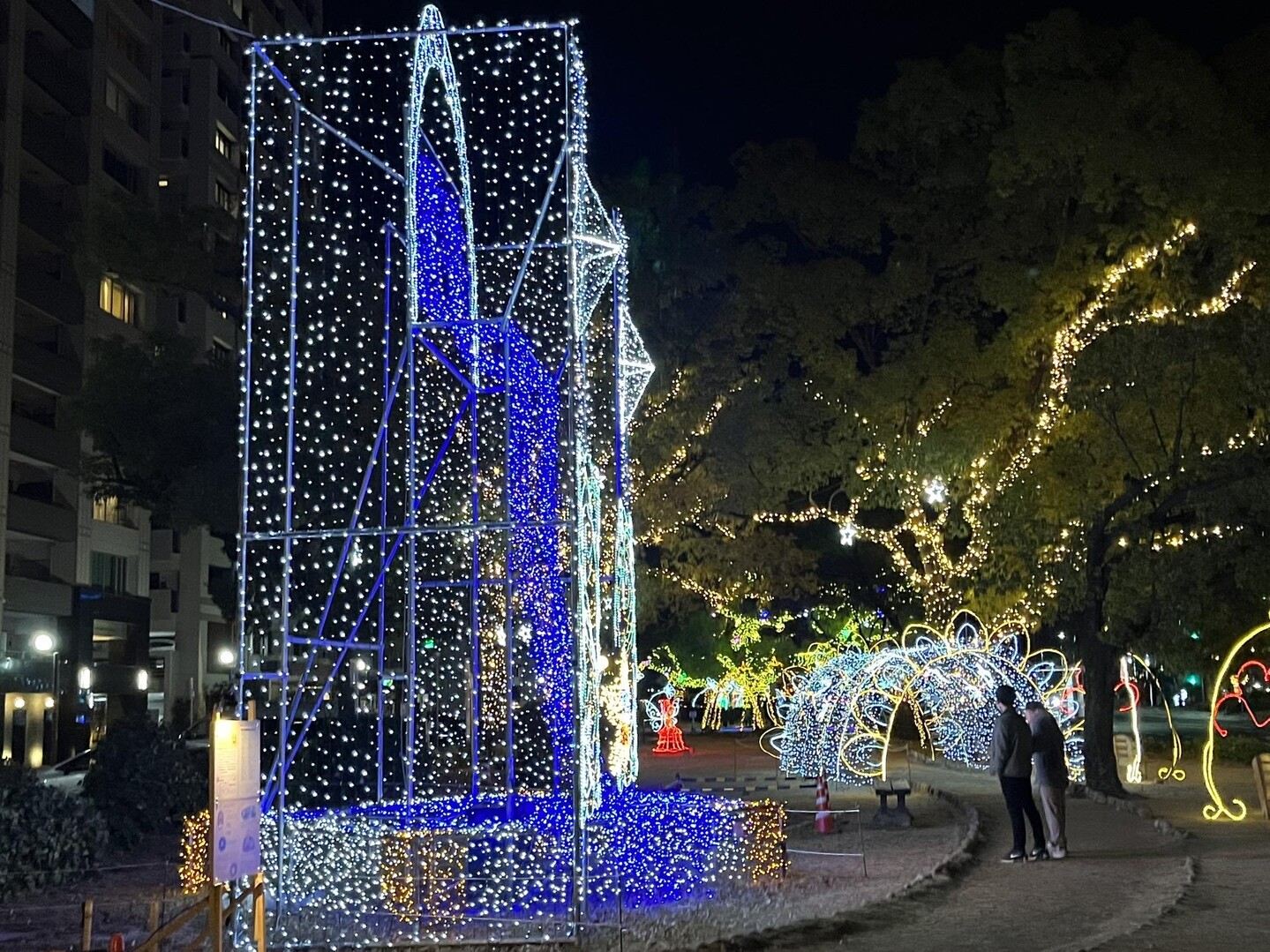 広島の平和大通りはイルミネーションで彩ら... / masakingさんのモーメント | YAMAP / ヤマップ