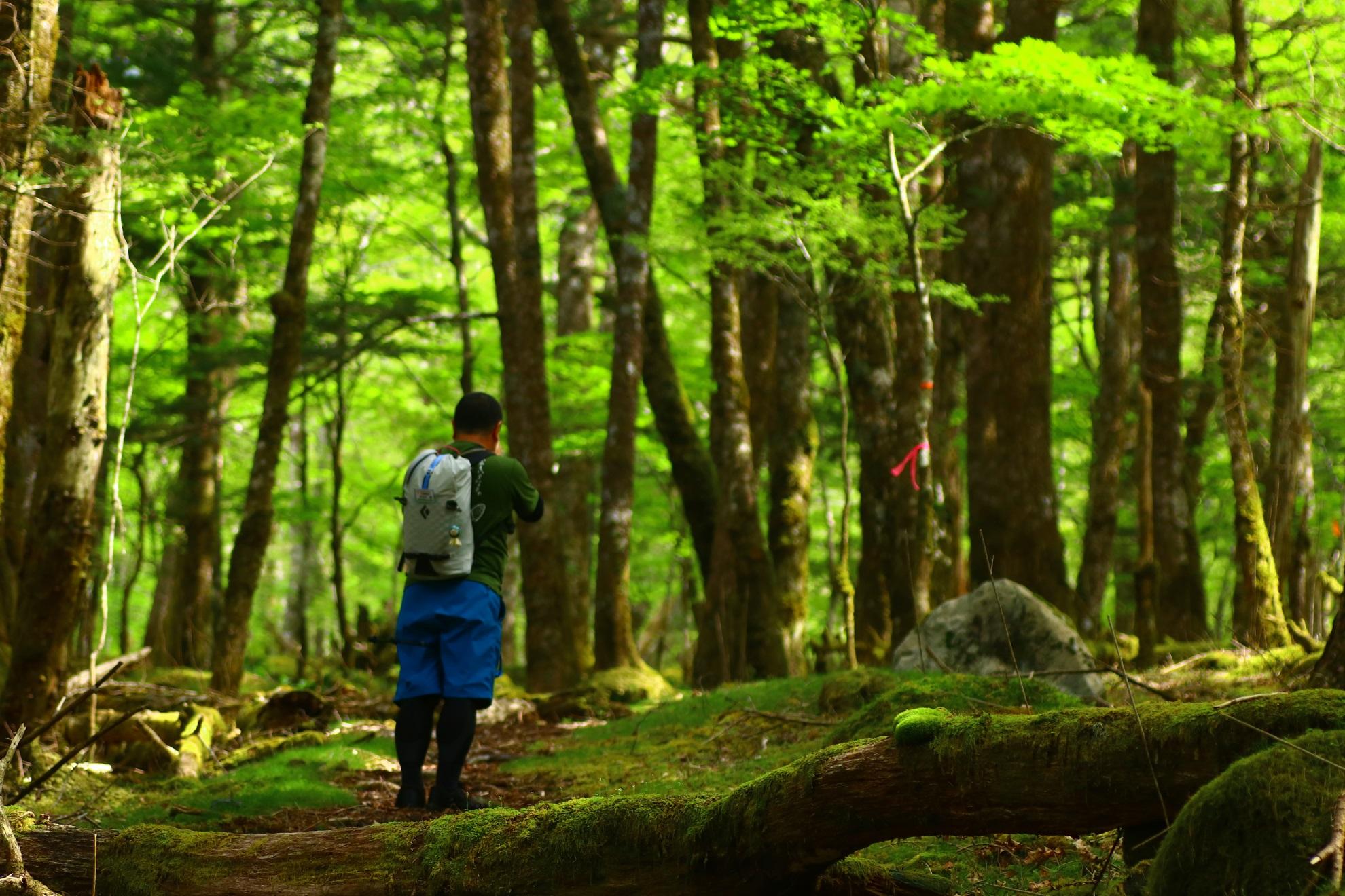 お花散策🌸 富士山麓 / KOH-Chanさんの富士山の活動データ | YAMAP / ヤマップ