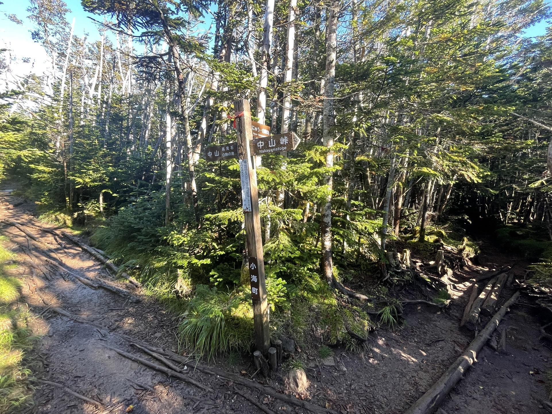 hideshanさんの投稿したフィールドメモ | YAMAP / ヤマップ