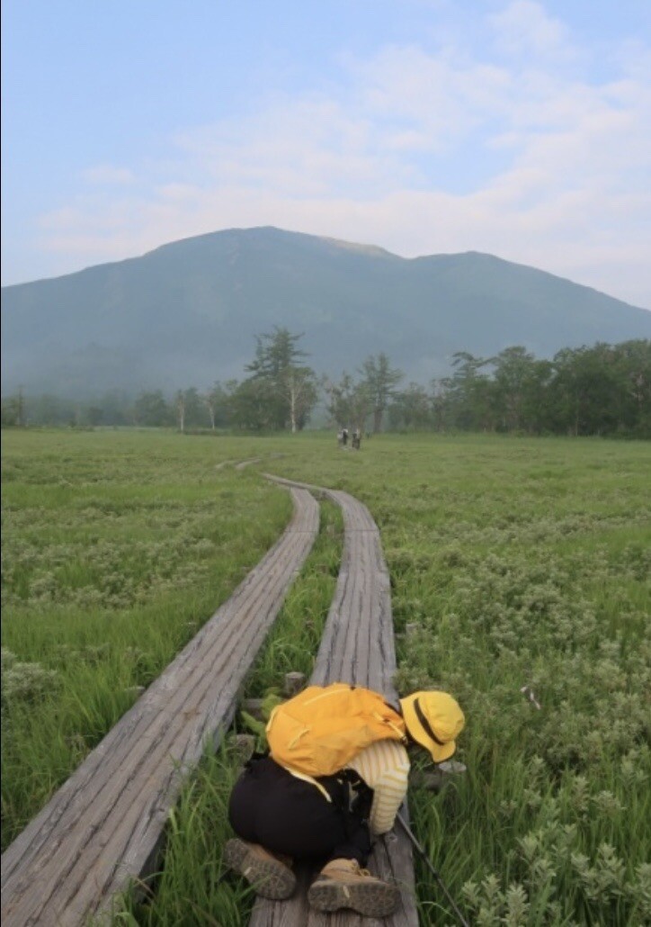 過去録：至仏山 2019.8.2（百名山... / ゆきんこさんのモーメント | YAMAP / ヤマップ