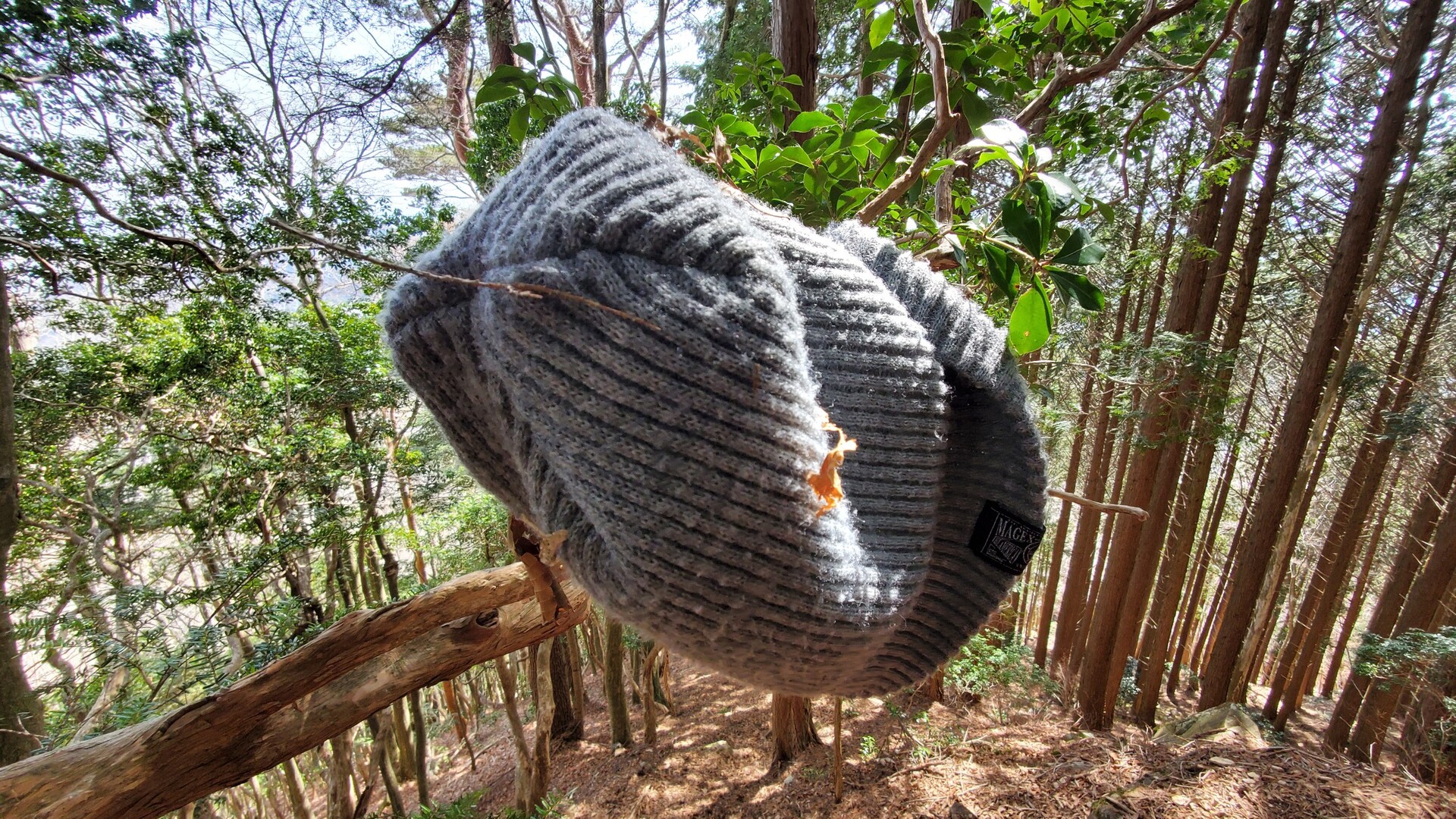 yamacampさんの投稿したフィールドメモ | YAMAP / ヤマップ