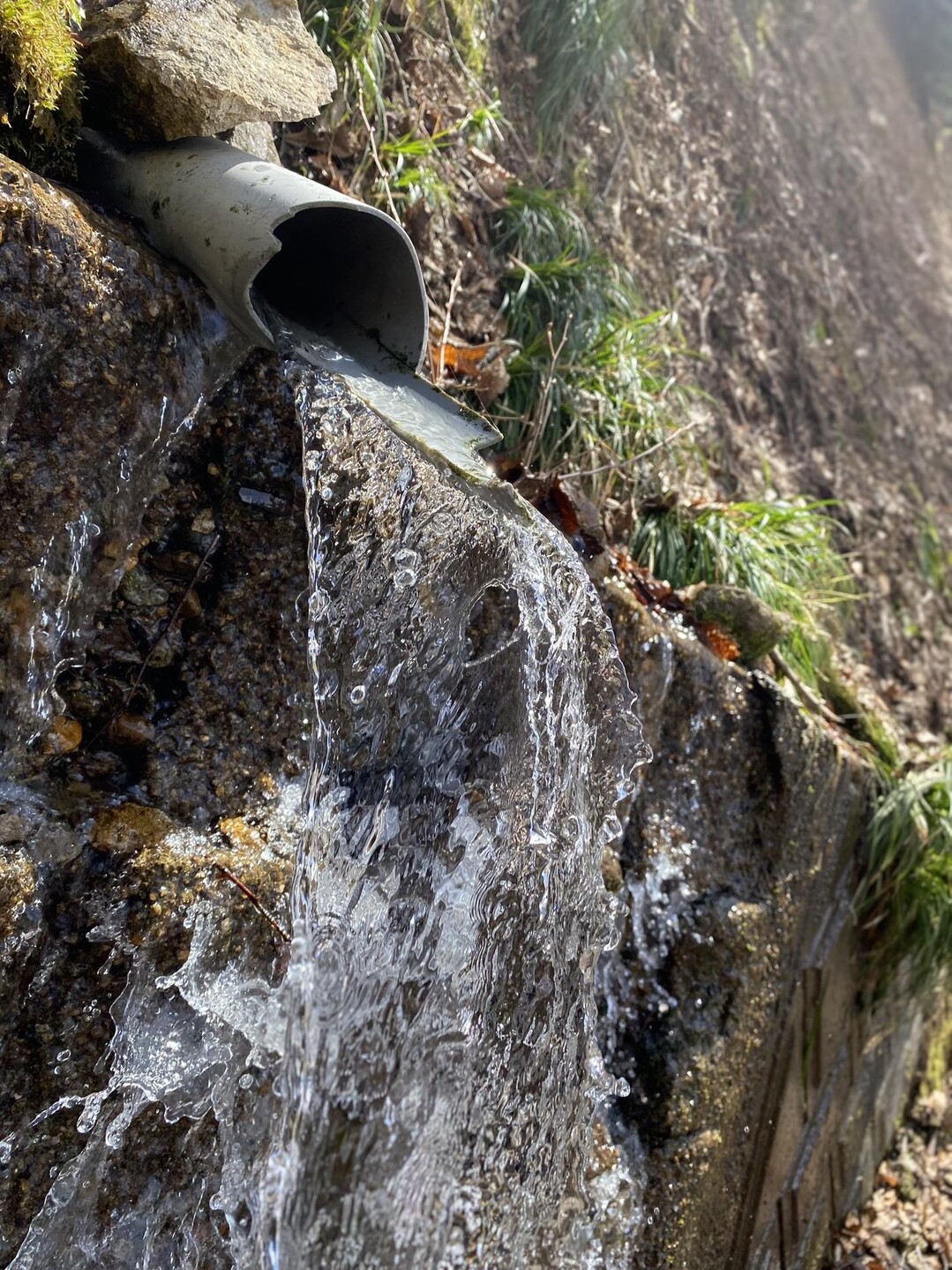 栗石山・男鹿岳 / yu-yakeさんの男鹿岳の活動データ | YAMAP / ヤマップ