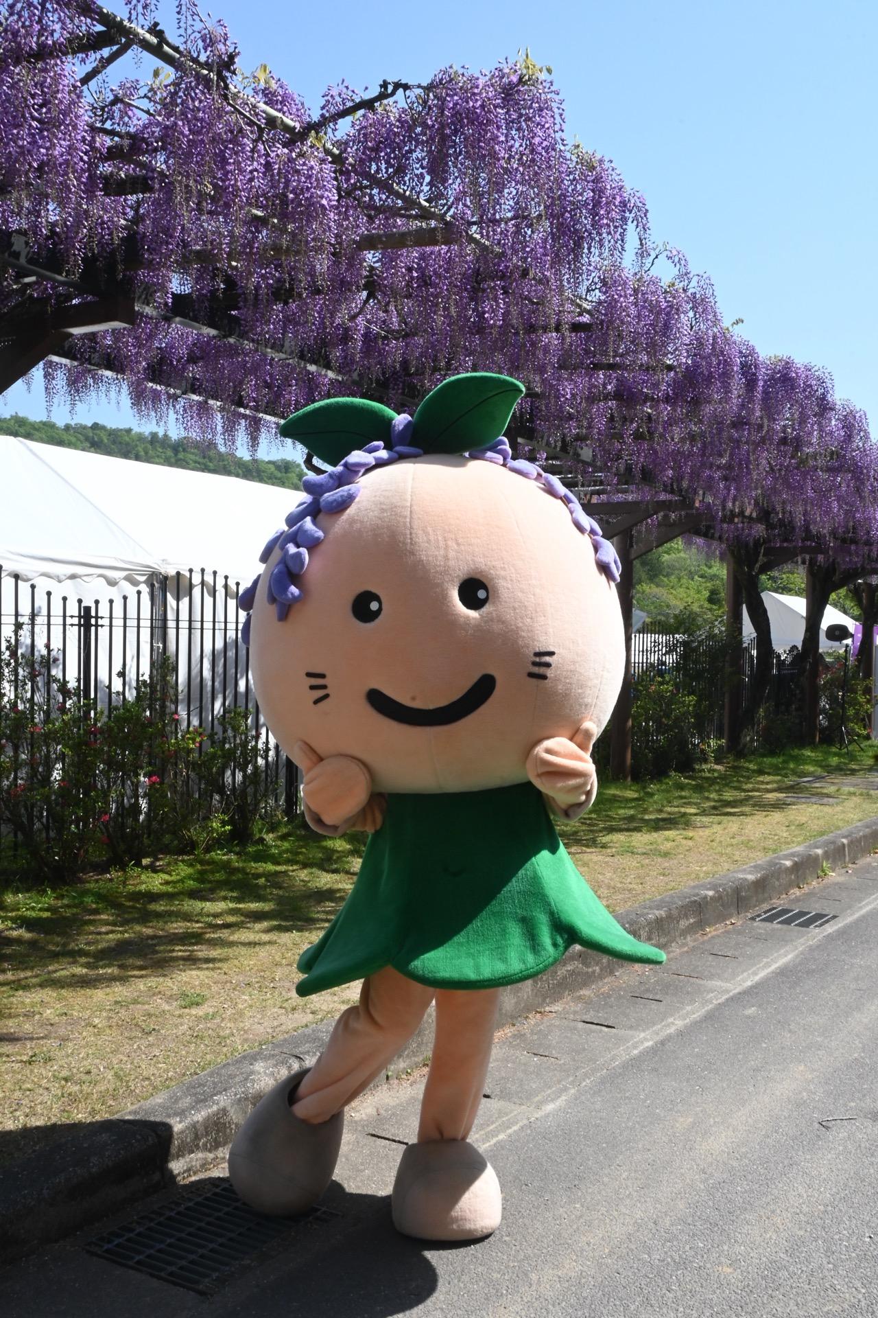 藤の回廊と城跡の展望台へプチ登山 / Naope!さんの登山の活動データ | YAMAP / ヤマップ