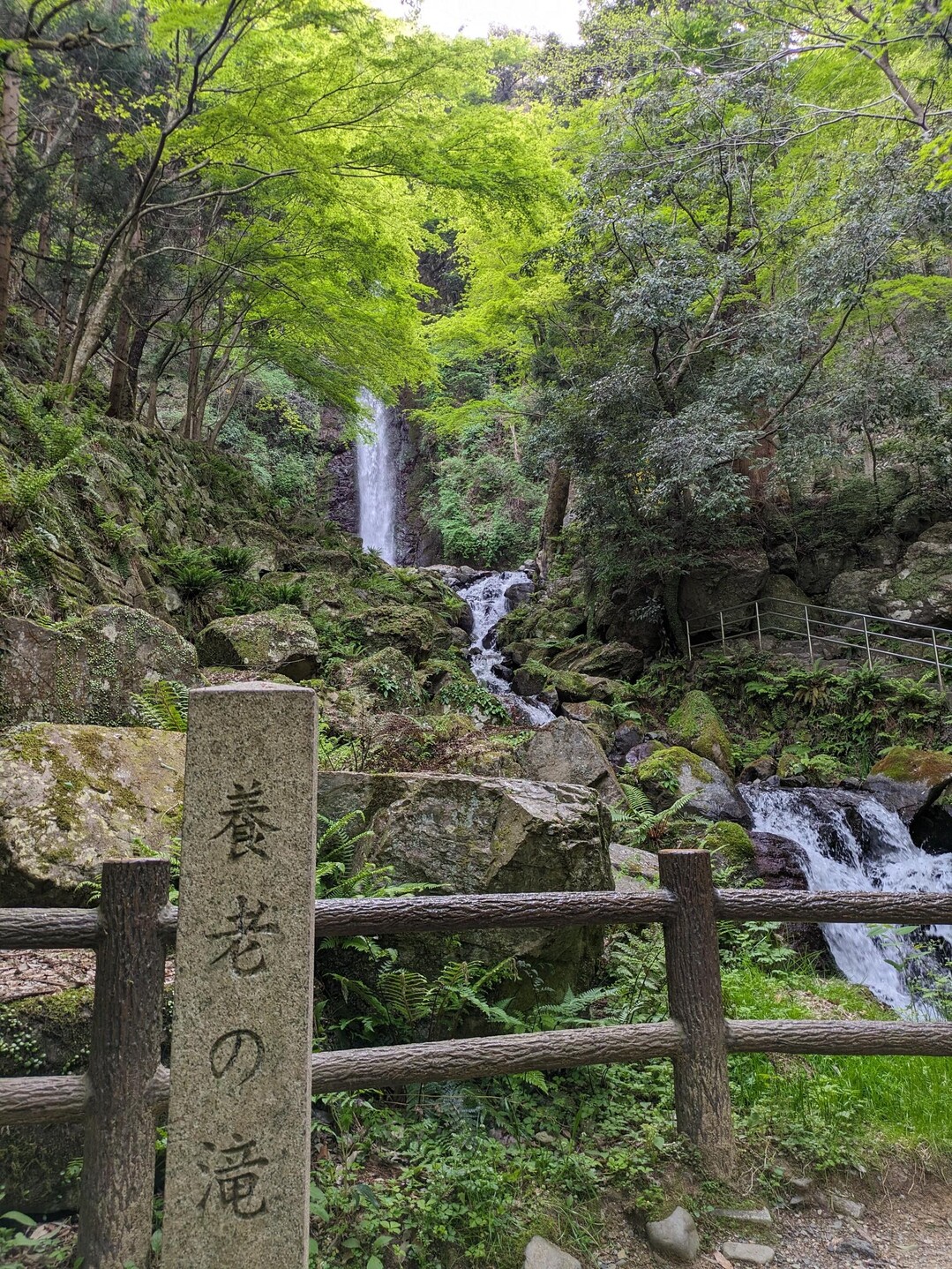 三方山・小倉山・養老山・北尾根P826峰 / のんさんの養老山・笙ヶ岳・三方山の活動日記 | YAMAP / ヤマップ