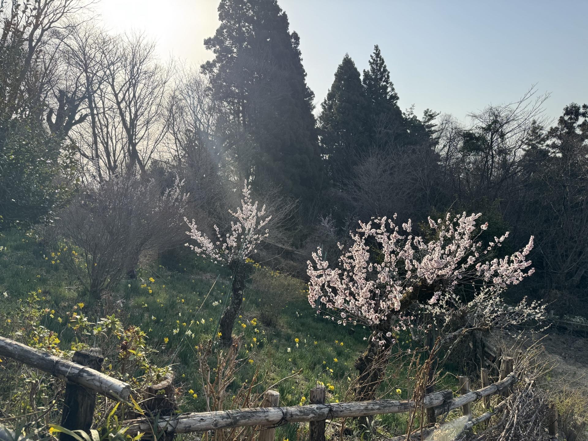 トレーニングハイキング #006 高尾山〜陣馬山 / nobi-wanさんの高尾山・陣馬山・景信山の活動データ | YAMAP / ヤマップ