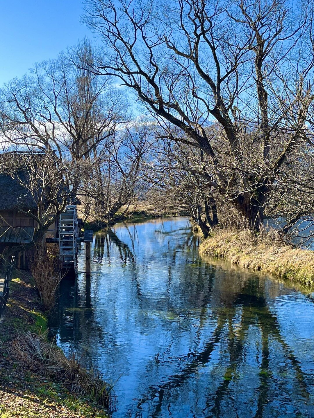 安曇野の大王わさび農場。 冬は人が少なく... / kazu51さんのモーメント | YAMAP / ヤマップ