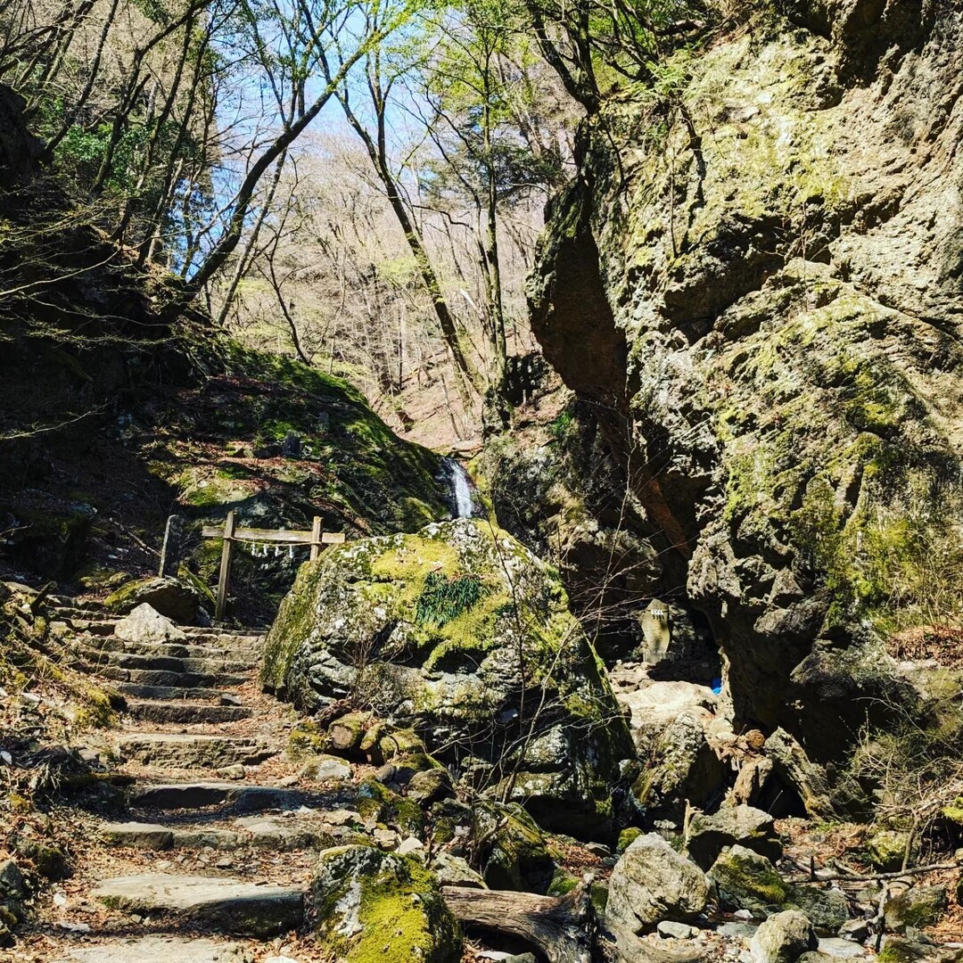 御岳山・鍋割山・奥の院峰 / mdk.knzさんの大岳山・御岳山・御前山の活動データ | YAMAP / ヤマップ