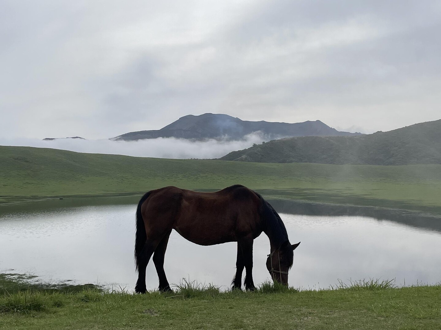 ASOトレッキング🫏 / nk-poohさんの阿蘇山・高岳・根子岳の活動データ | YAMAP / ヤマップ