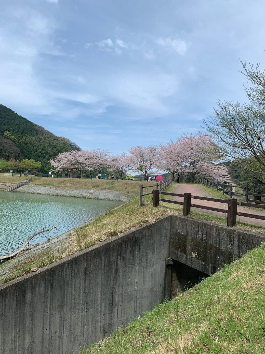 大目配・京王山・京王山東峰・鬼王山・富谷山・久山・妙見山 / yyshigeさんの犬鳴山・西山（鮎坂山）の活動データ | YAMAP / ヤマップ