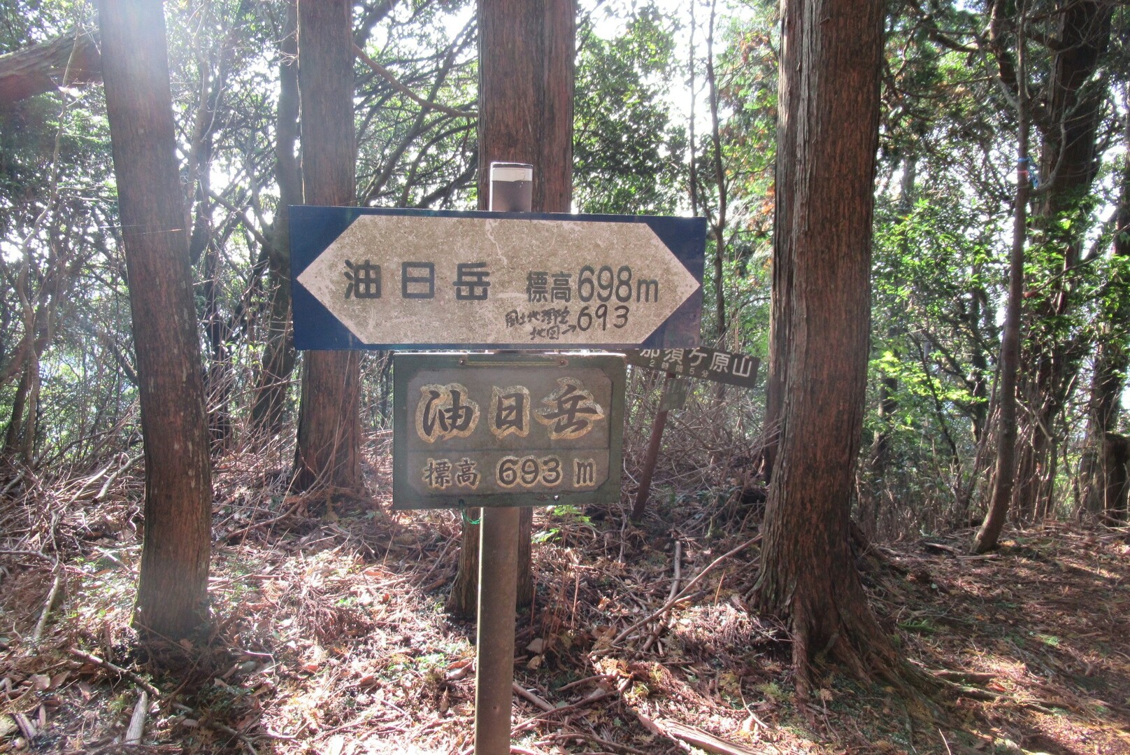 山友さんと油日岳693mへ・・ / ちえさんの高畑山・那須ヶ原山・油日岳の活動データ | YAMAP / ヤマップ