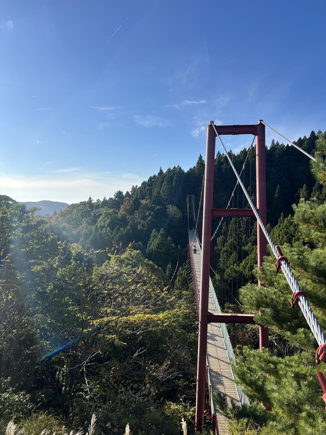 国上山 / ao-soraさんの弥彦山・多宝山・雨乞山の活動日記 | YAMAP / ヤマップ