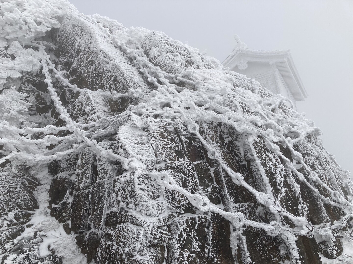 石鎚山 ️（1982 m いしづちさん） / tomoko.yさんの石鎚山・堂ヶ森・二ノ森の活動データ | YAMAP / ヤマップ