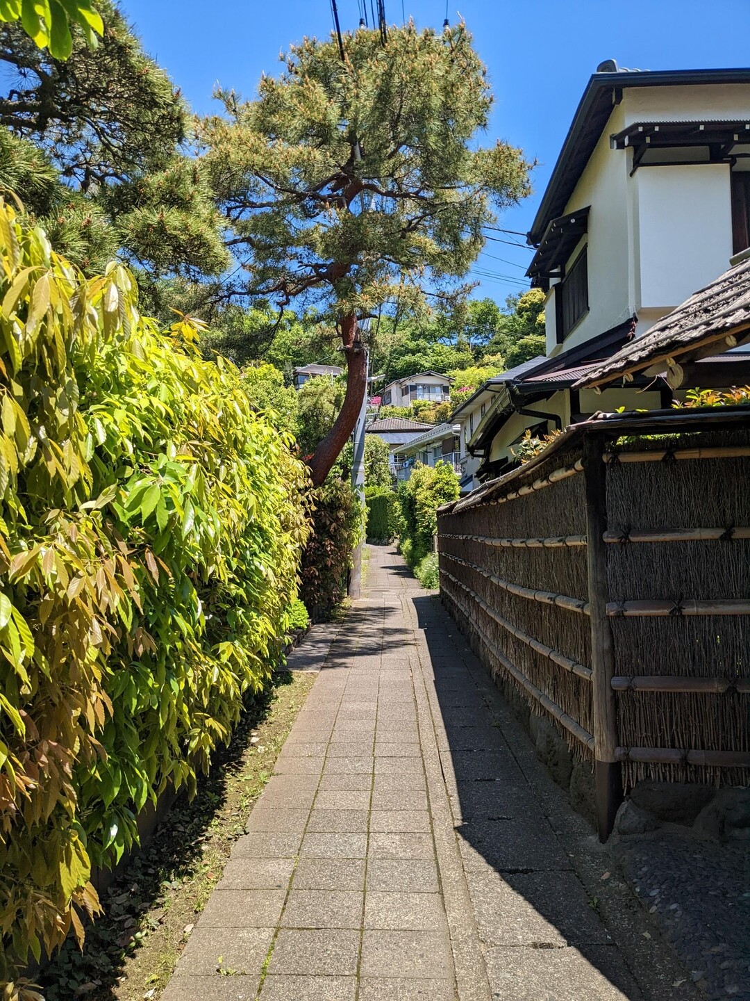 六国見山・勝上山・鷲峰山・大平山・天園・天台山・胡桃山・衣張山・祇園山 / sugarさんの鎌倉アルプス（大平山・天台山）の活動データ | YAMAP / ヤマップ