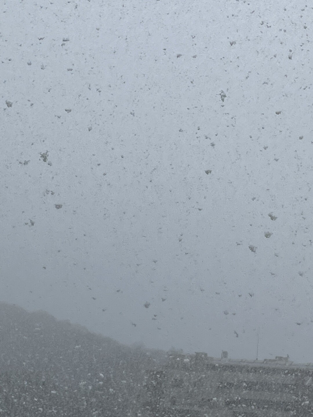 名古屋の大晦日は、朝から雪。 かなり降っ... / snowyさんのモーメント | YAMAP / ヤマップ