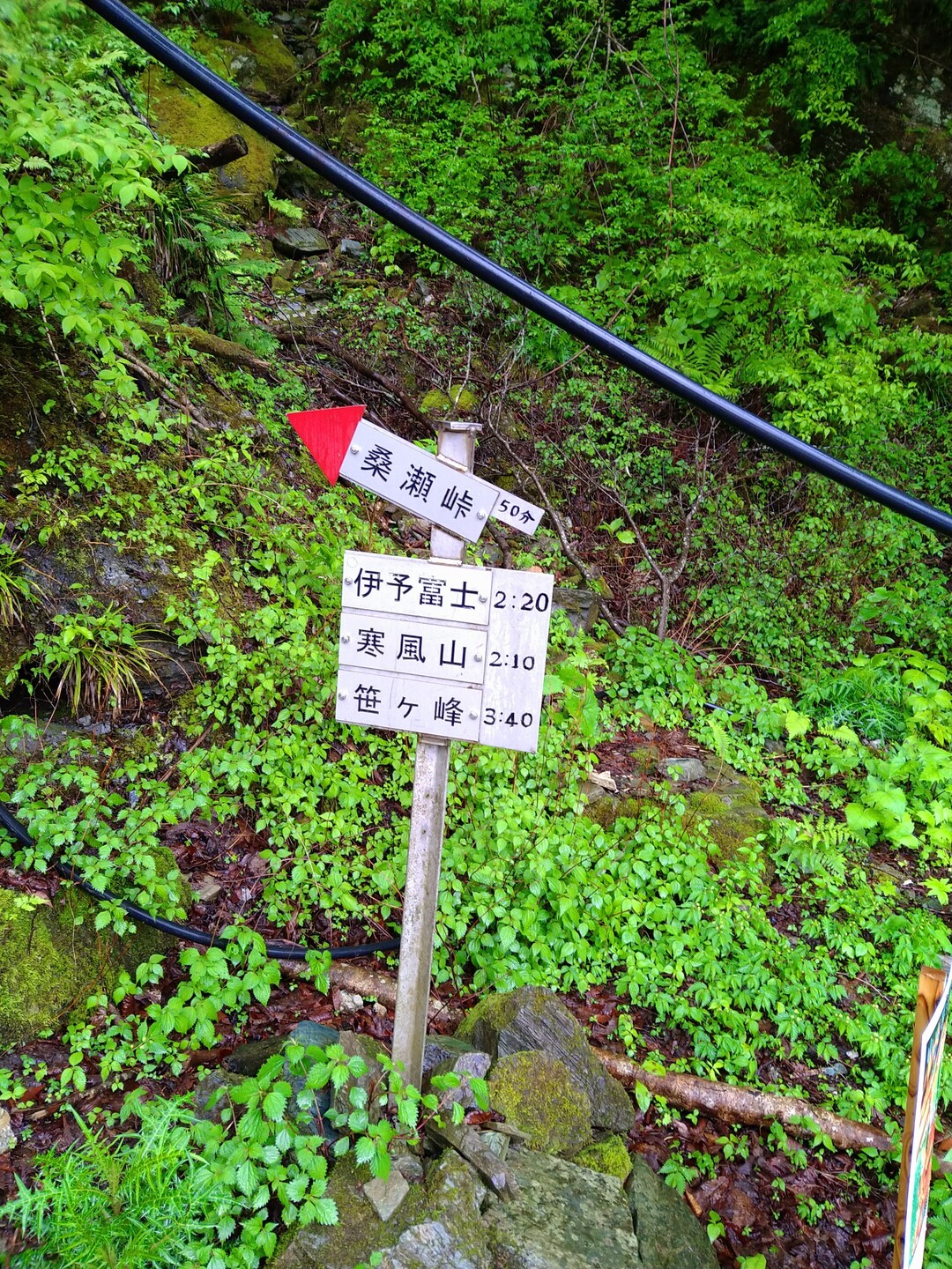 まなっPさんの投稿したフィールドメモ | YAMAP / ヤマップ