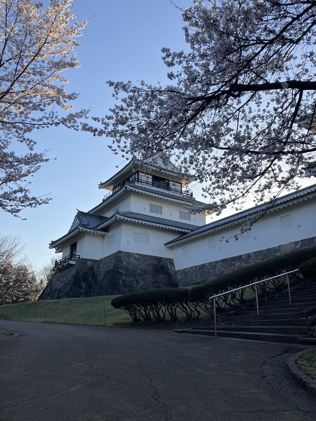 長岡市悠久山🌸満開 / まのさんのモーメント | YAMAP / ヤマップ